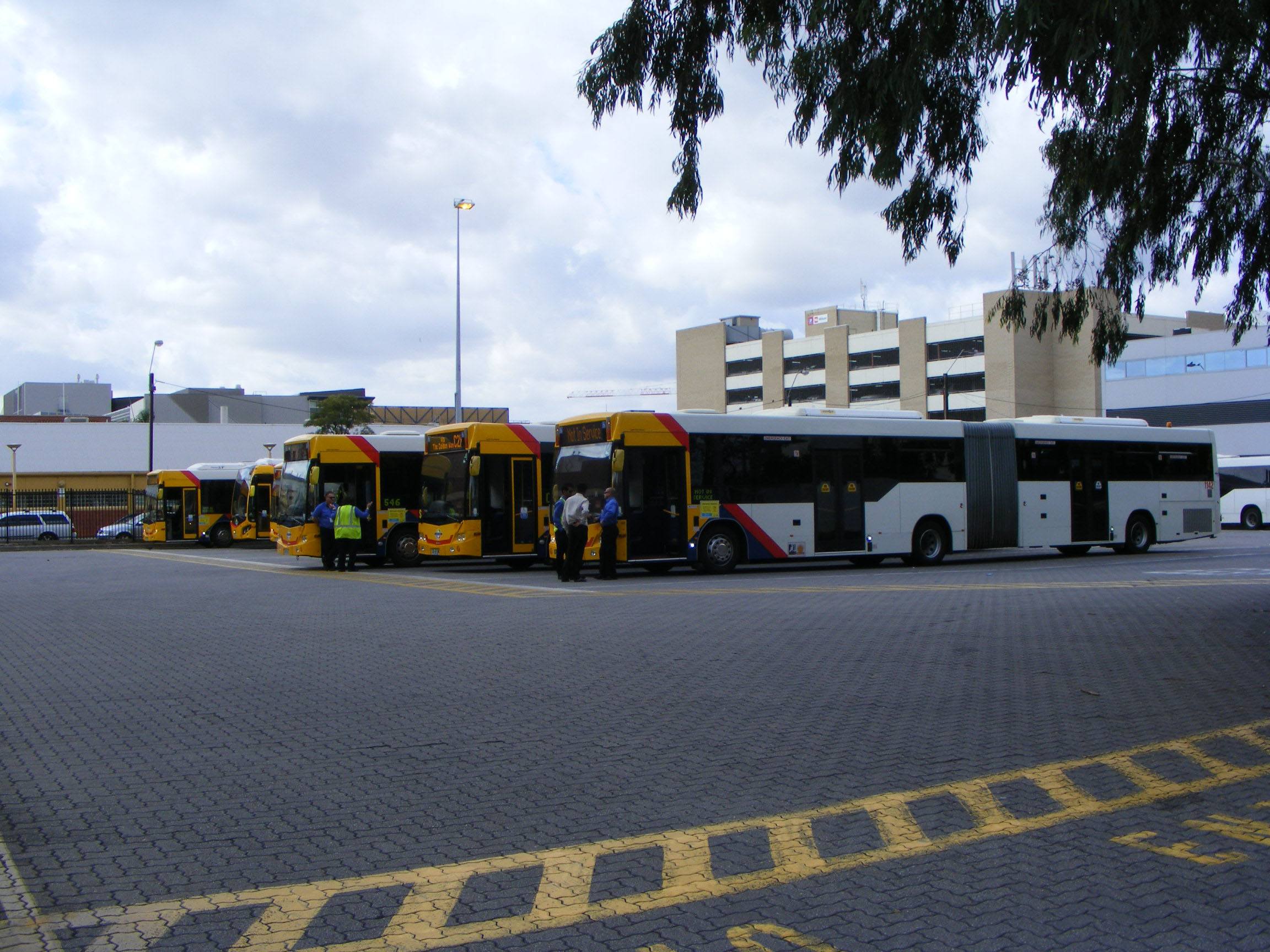 Adelaide Metro Articulated Buses Australia SHOWBUS BUS IMAGE GALLERY